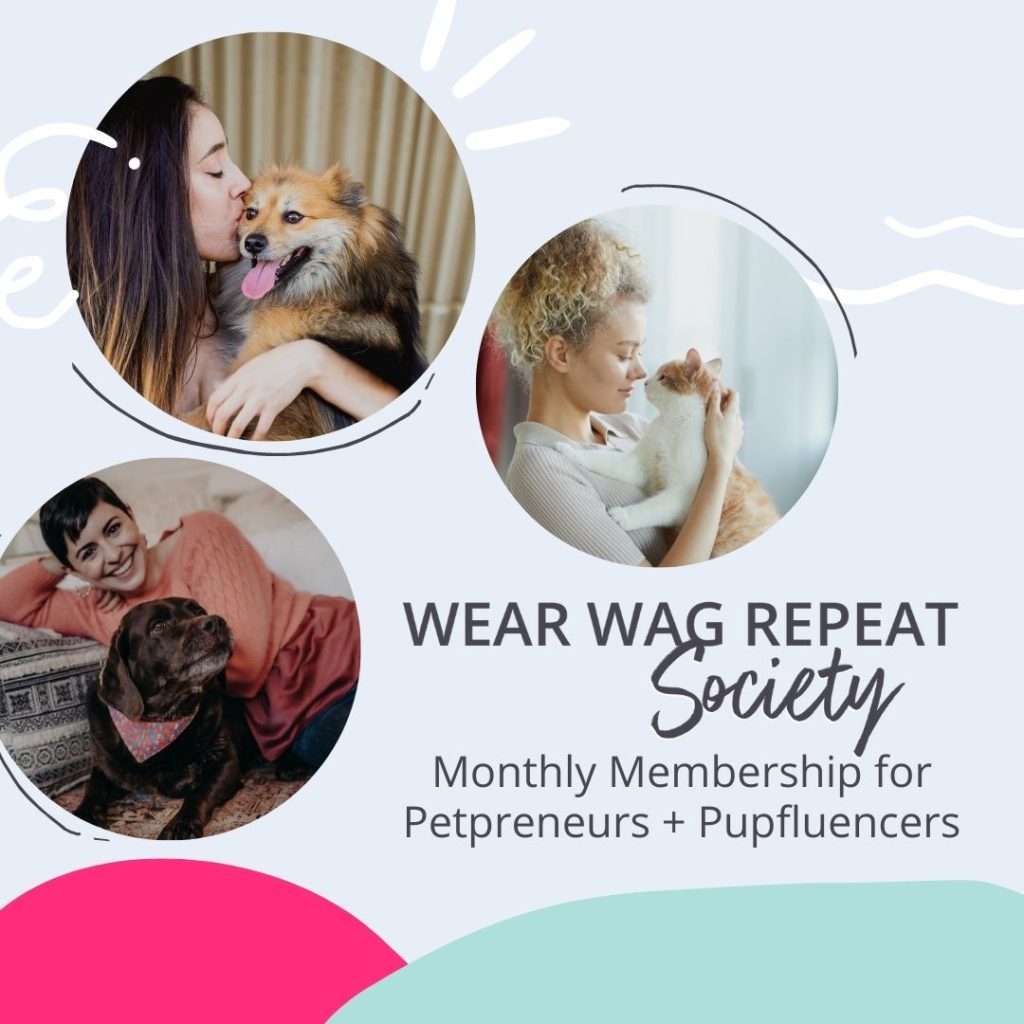 Enneagram Types for Dogs - The Dog Guide San Antonio